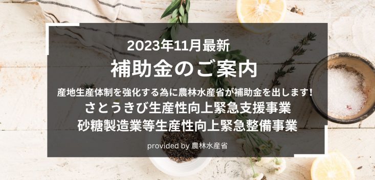 全国 第3次公募!甘味資源作物産地生産体制強化緊急対策事業 補助金・資金調達ガイド